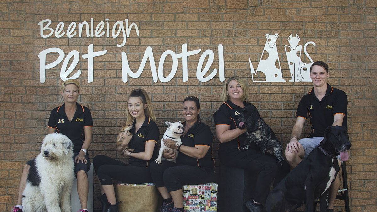 Gallery - Beenleigh Pet Motel